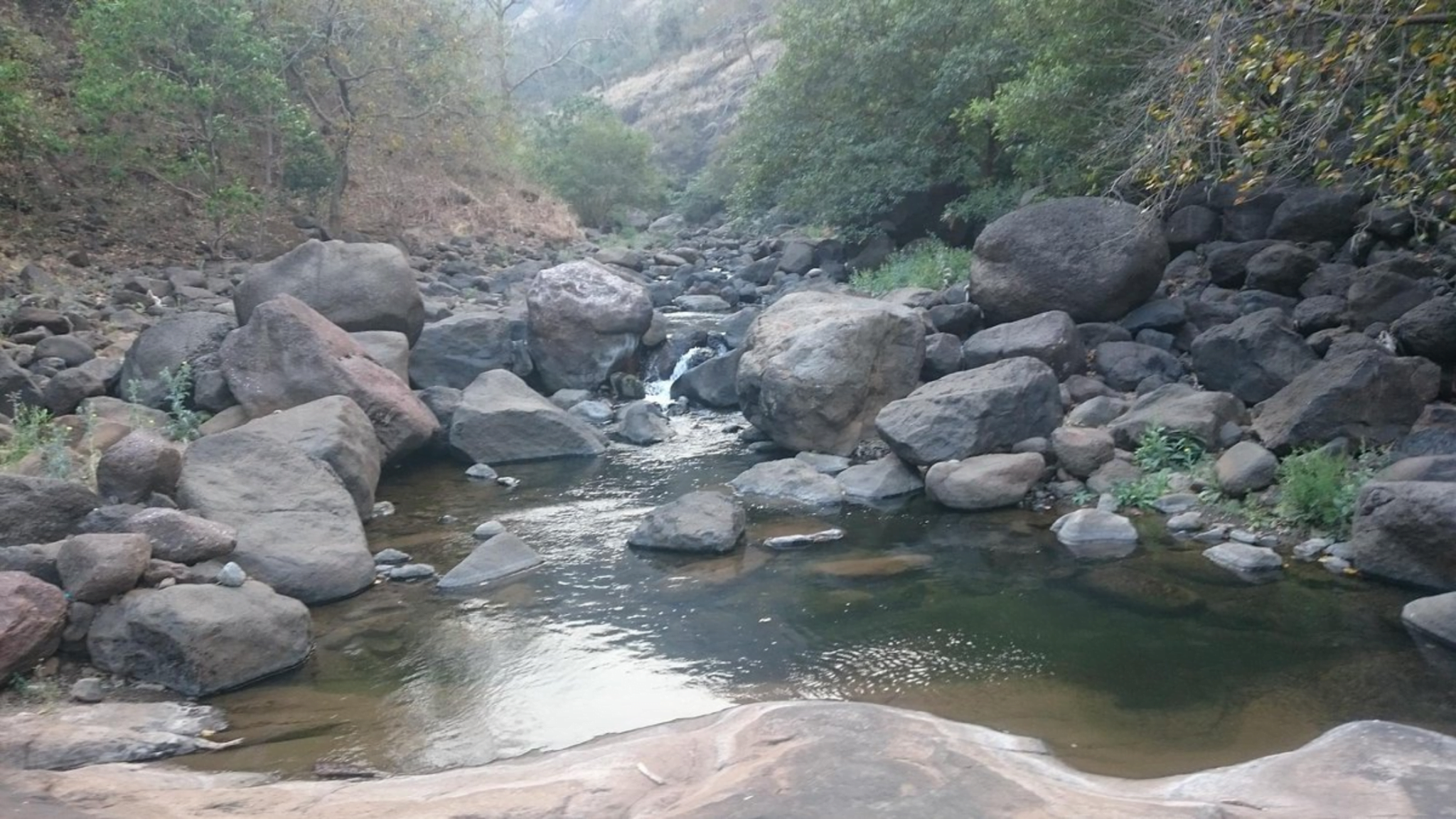 Kune Waterfalls-All about Visit Time, Food, And Lodging