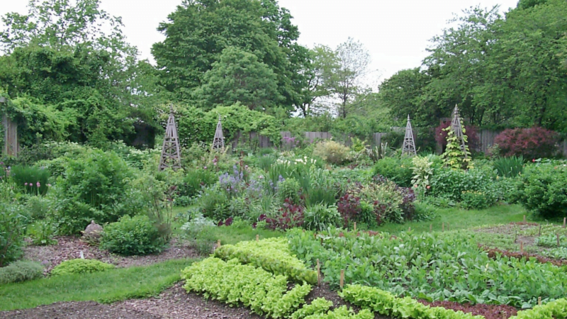 Stonecrop Gardens, Cold Springs-Location, Timings, Entry Fee