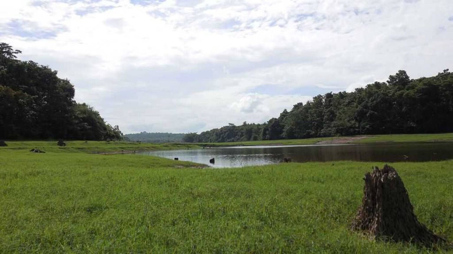 Thattekad Bird Sanctuary - Everything You Need to Know