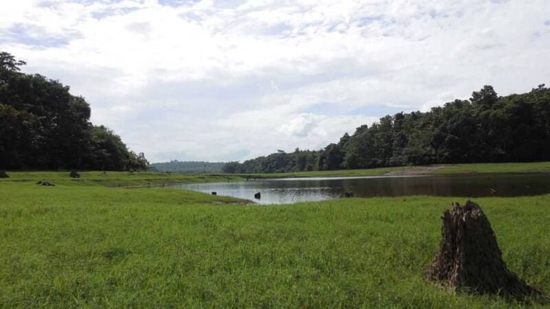 Thattekad Bird Sanctuary - Everything You Need to Know