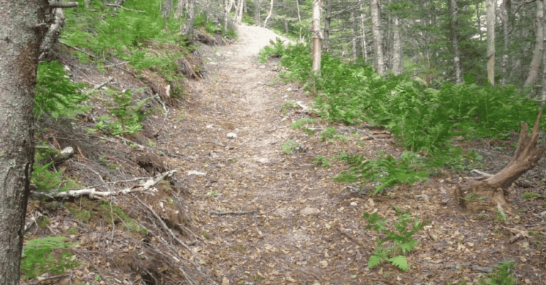 Cape Chignecto Provincial Park - Know All About Before Visit