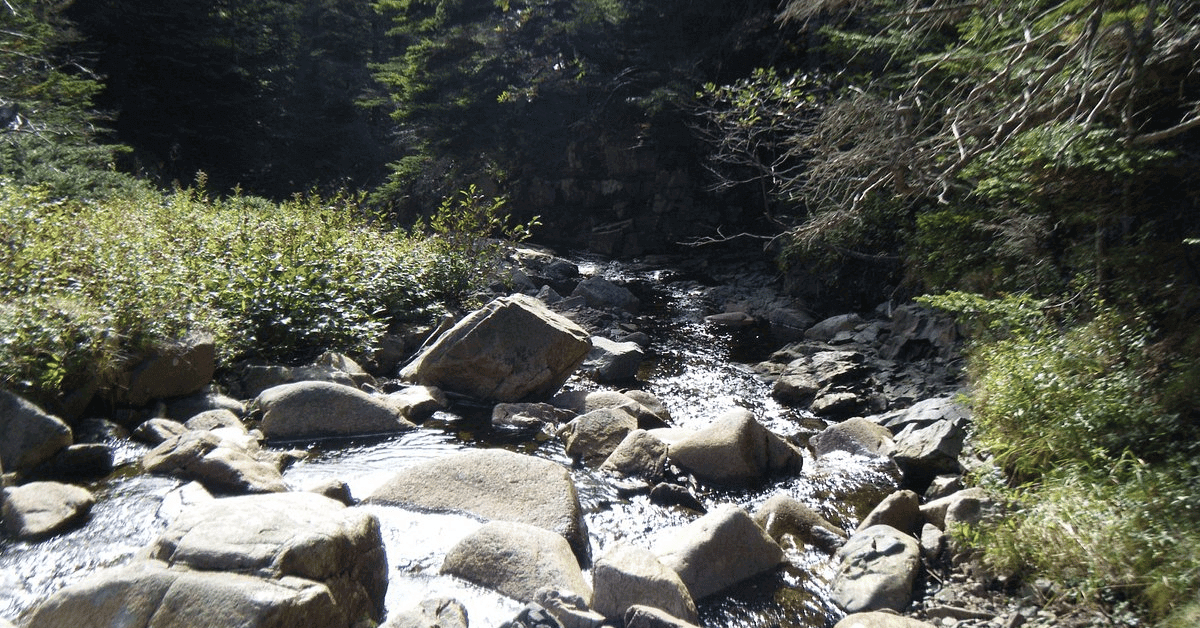 Cape Chignecto Provincial Park - Know All About Before Visit