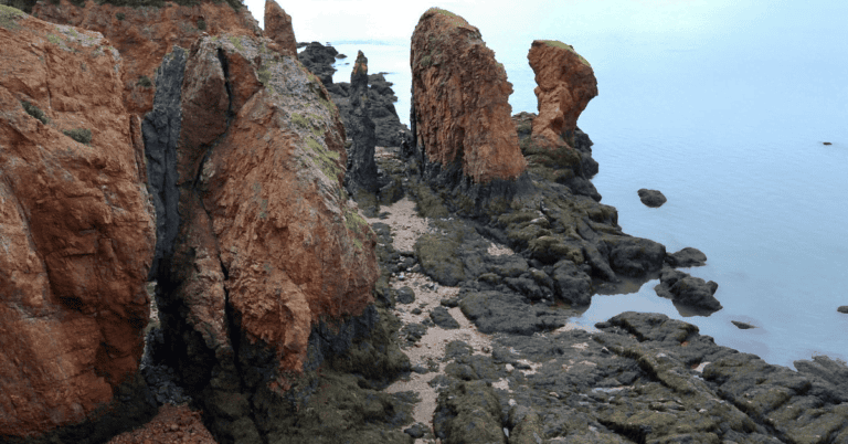 Cape Chignecto Provincial Park - Know All About Before Visit