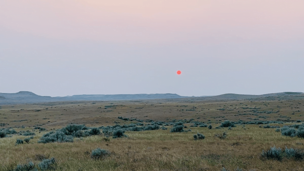 Grasslands National Park - Everything You Need to Know