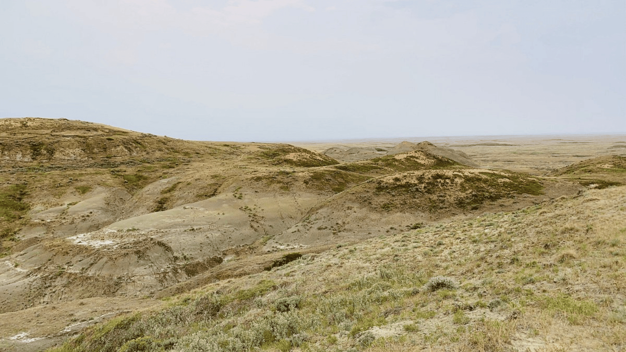 Grasslands National Park - Everything You Need to Know