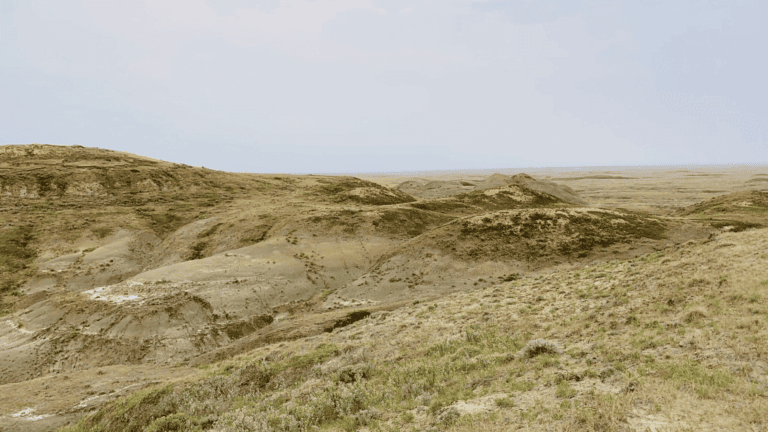 Grasslands National Park - Everything You Need to Know