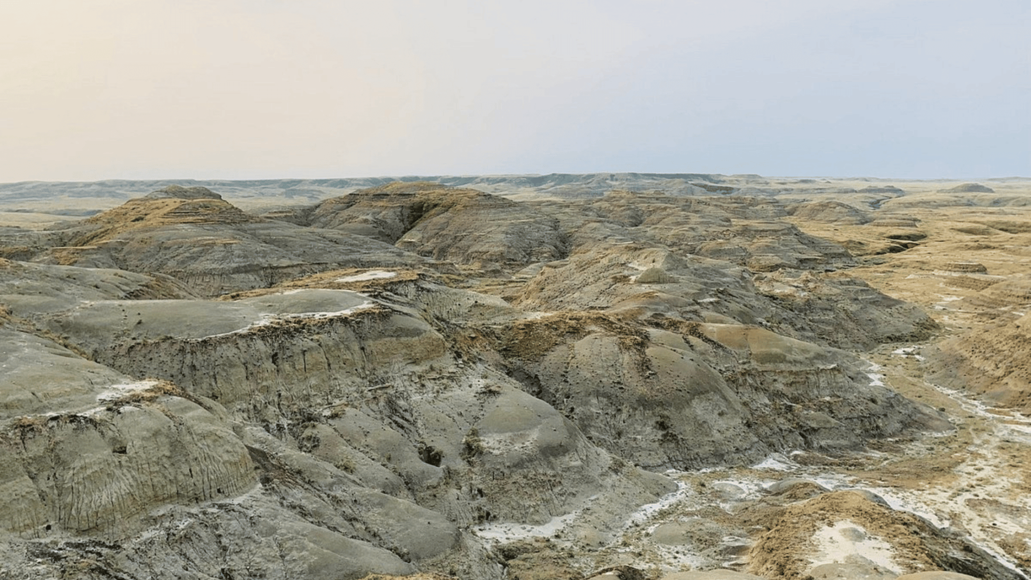 Grasslands National Park - Everything You Need to Know