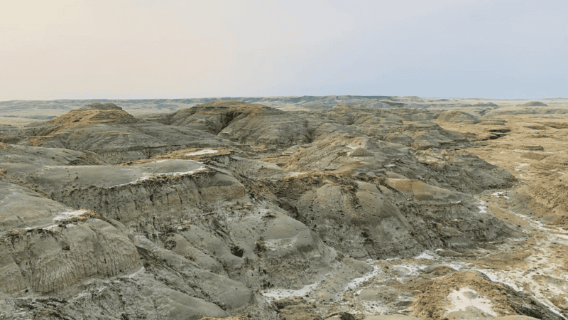 Grasslands National Park - Everything You Need to Know