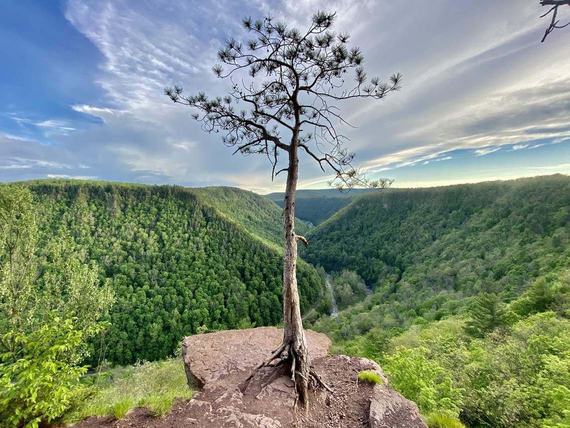 A Journey Through Pennsylvania Grand Canyon