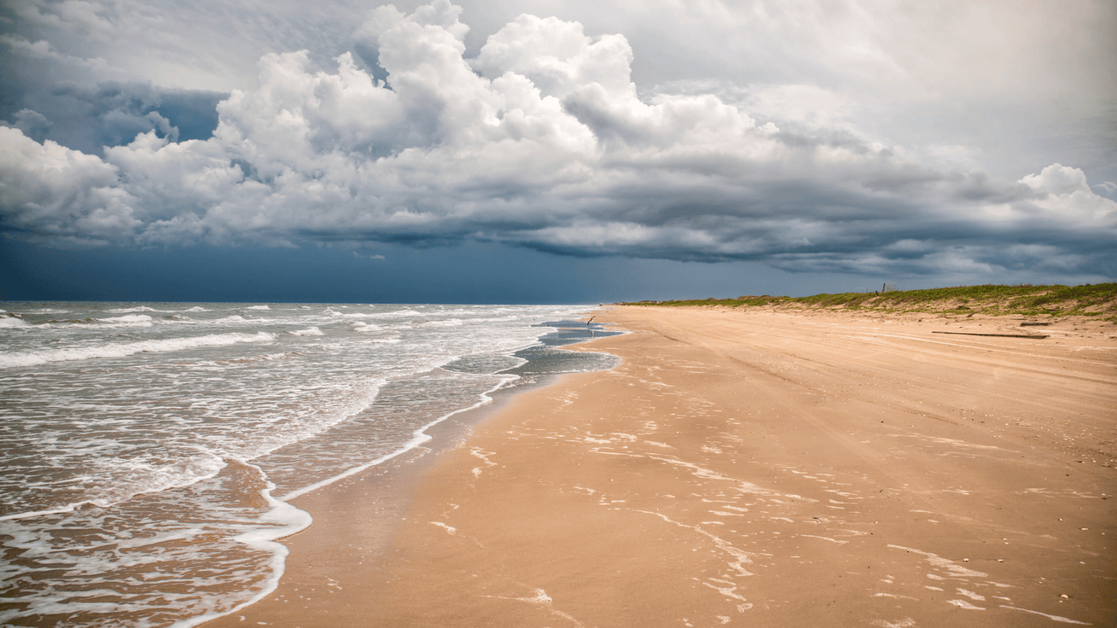 20 Popular Things to Do in South Padre Island Taxes - Travelophia