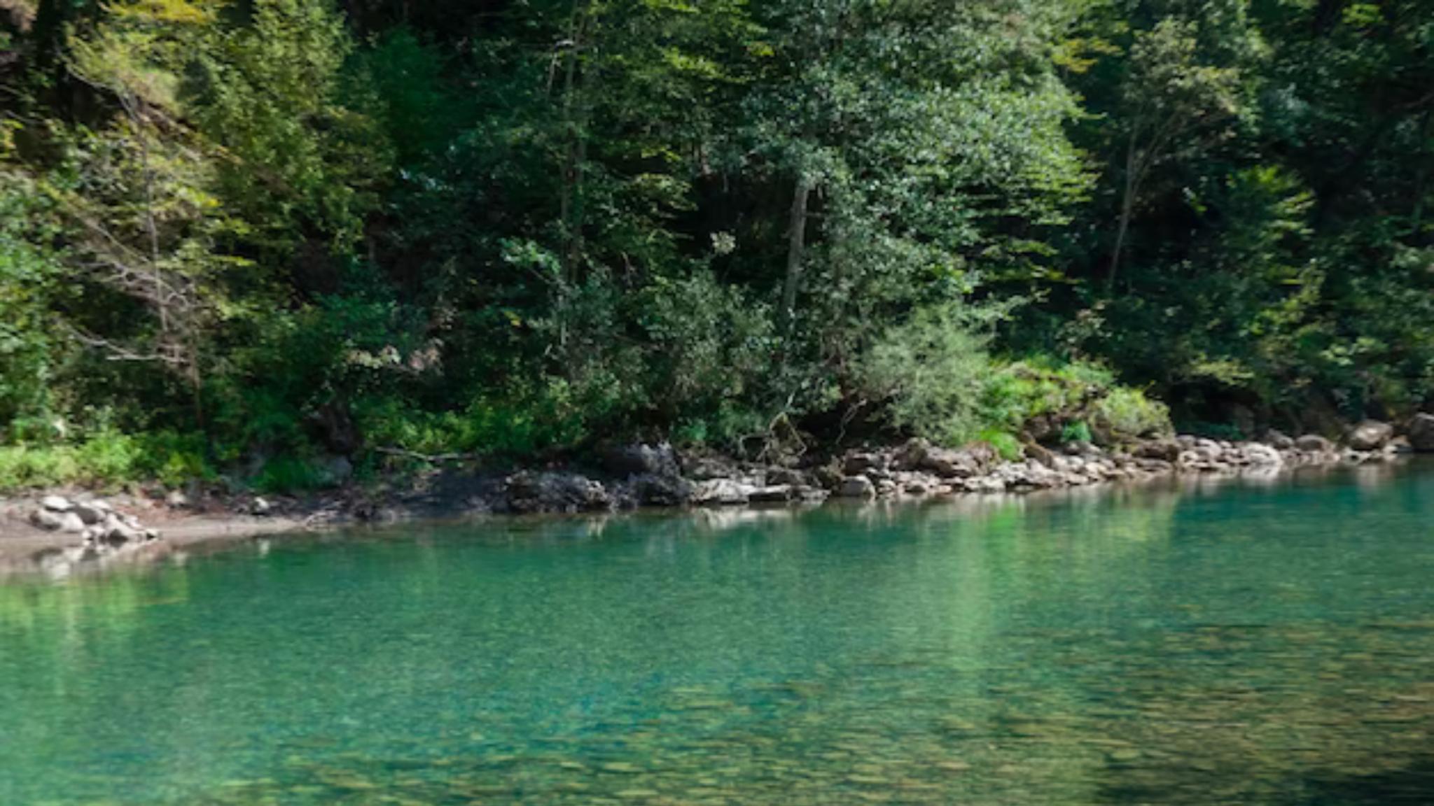 16 Things To Do In Temple, TX for a Memorable Visit